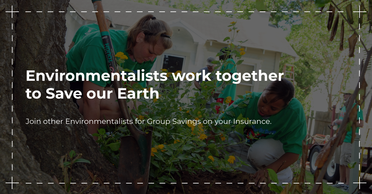 Environmentalists | Foxquilt Groups
